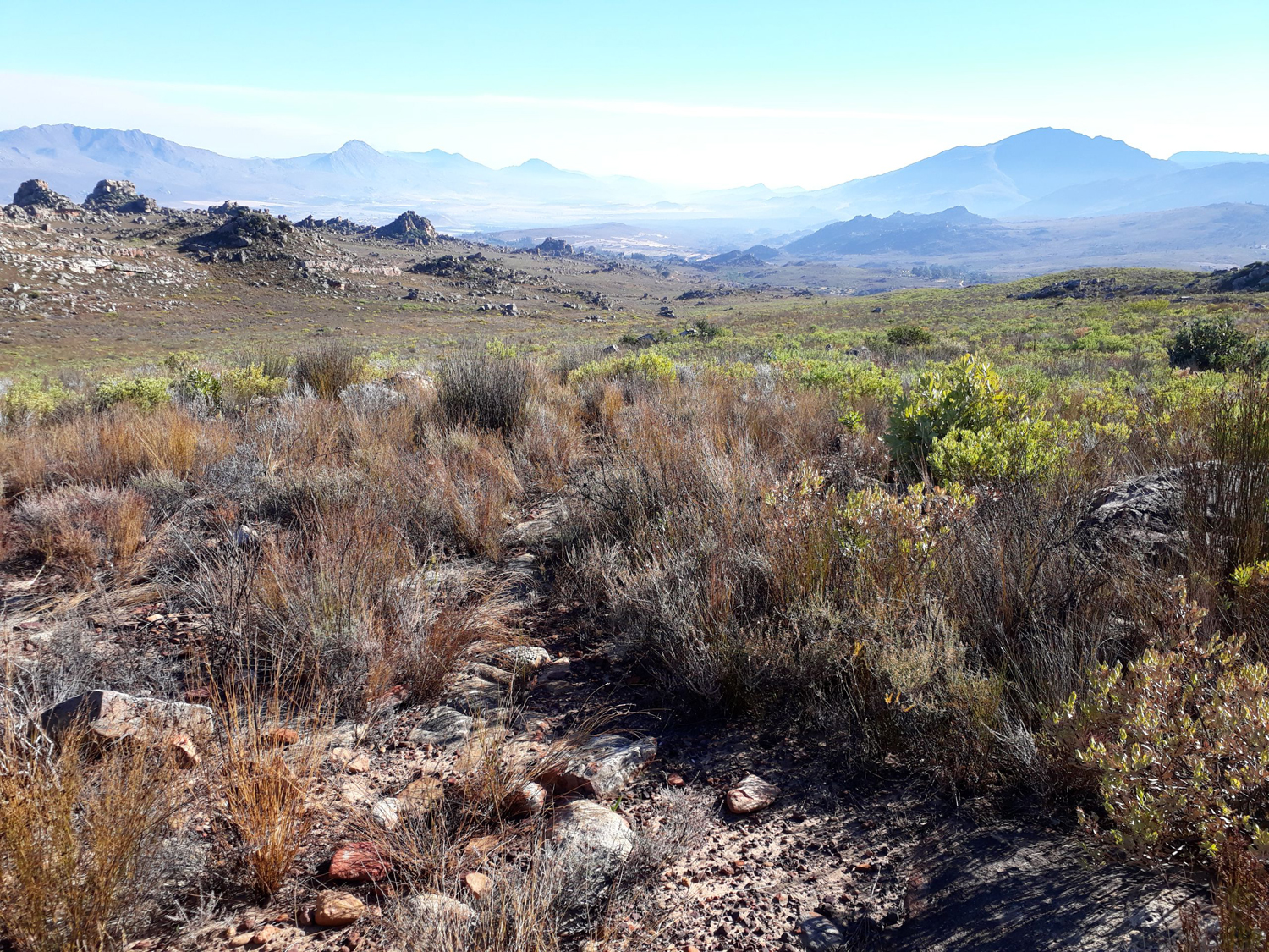 Wolfkop Nature Reserve - Hiking Activity Details - Wontom