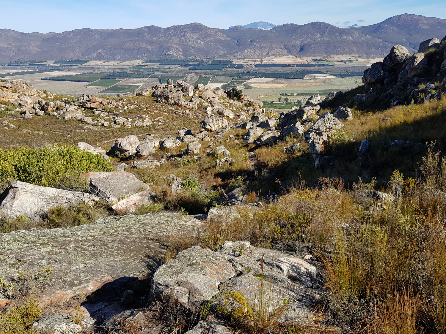 Wolfkop Nature Reserve - Hiking Activity Details - Wontom
