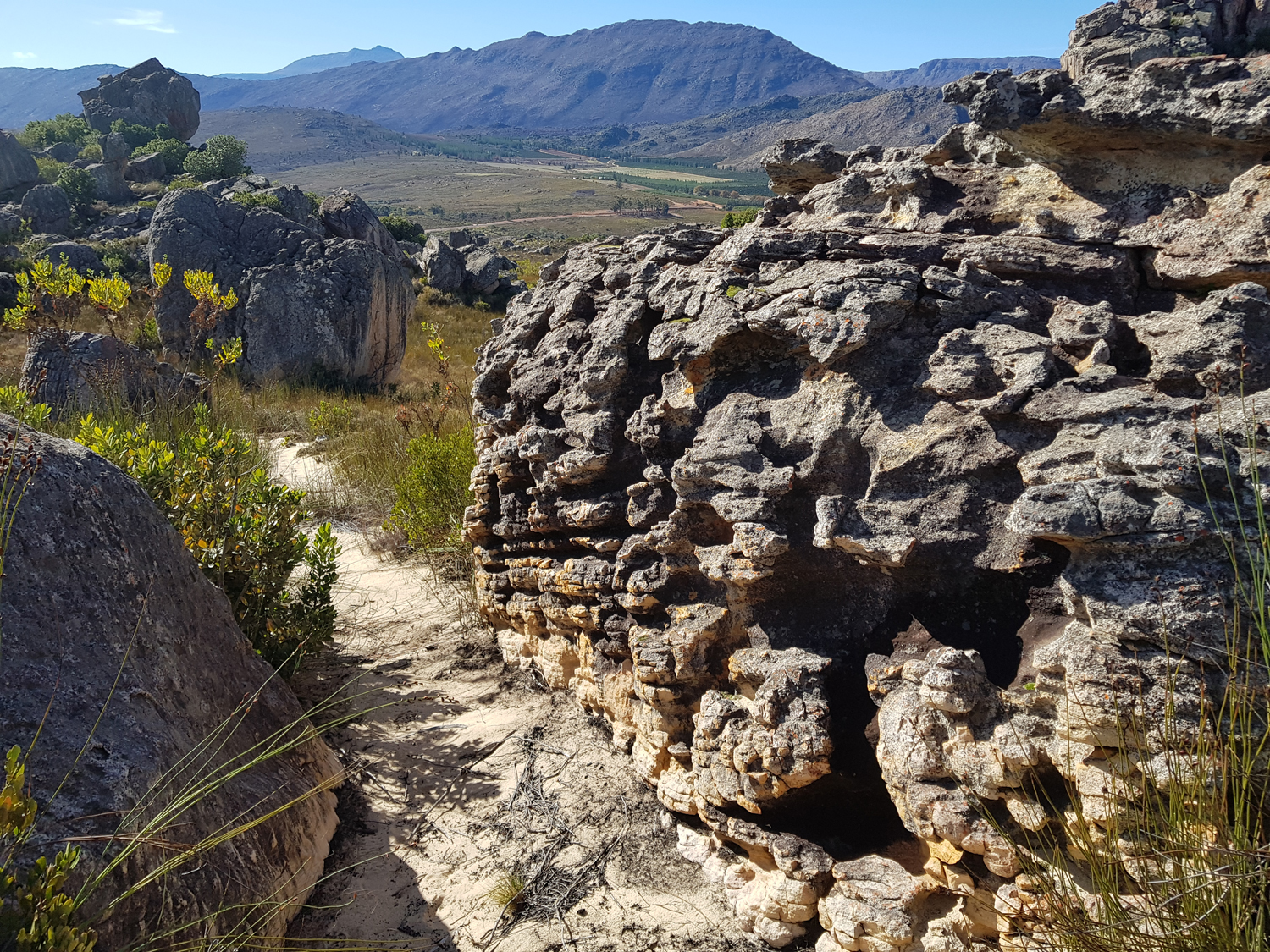 Wolfkop Nature Reserve - Hiking Activity Details - Wontom