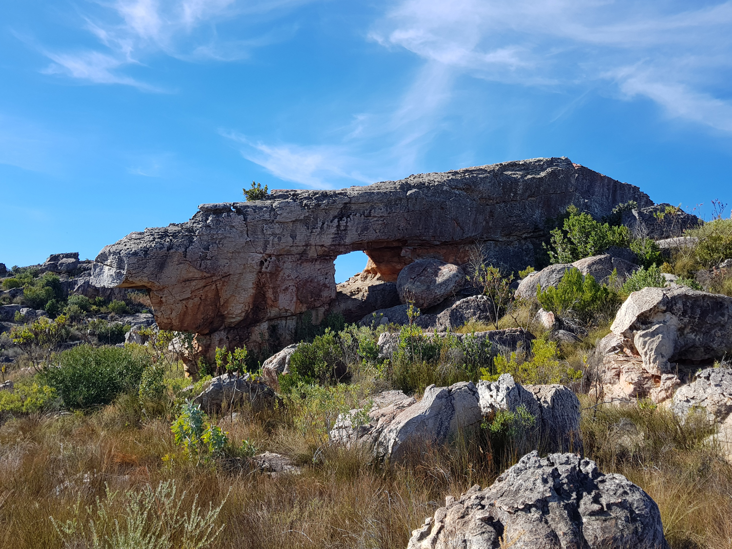 Wolfkop Nature Reserve - Hiking Activity Details - Wontom