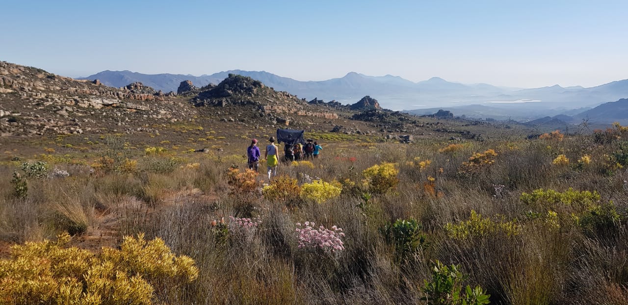 Wolfkop Nature Reserve - Hiking Activity Details - Wontom